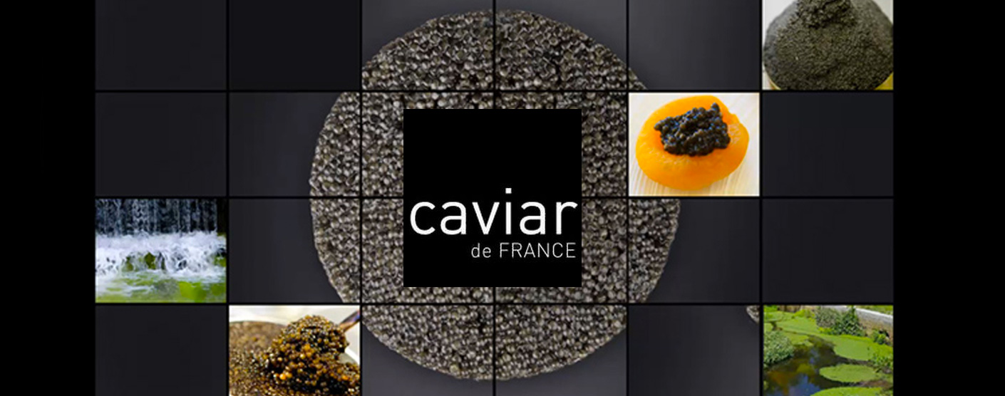 Caviar de France - Anode & Cathode